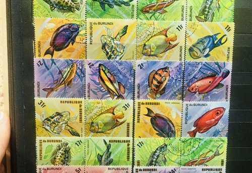Коллекция марок Бурунди, Африка. Фауна