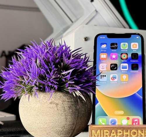 iPhone Xs Max, 256 ГБ