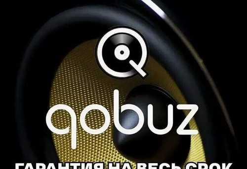 Qobuz studio premier Hi-Res (бессрочно)