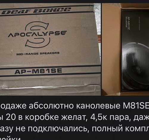 Динамики apocalypse ap m81se