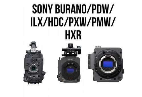 Sony PXW/HXR/HDC/ILX/CineAlta Кинокамера