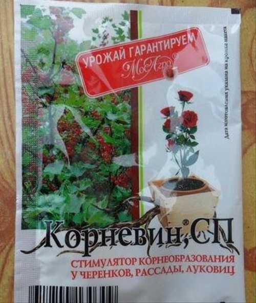 Корневин