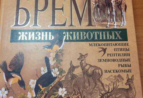 Жизнь животных. Альфред Брем.Современная версия