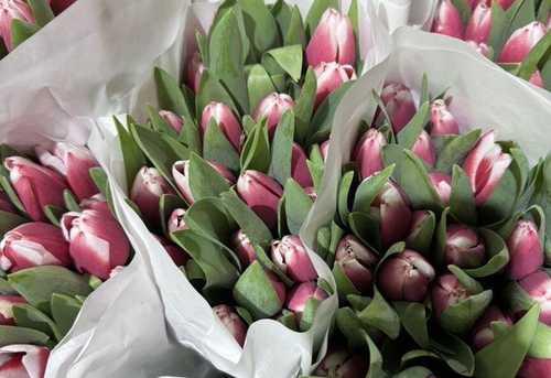 Тюльпаны от теплицы напрямую свежие