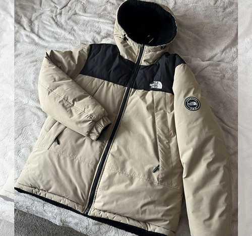 Куртка демисезонная мужская THE north face