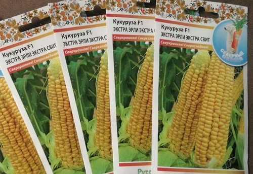 Семена кукуруза