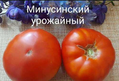Семена томата Минусинский Урожайный