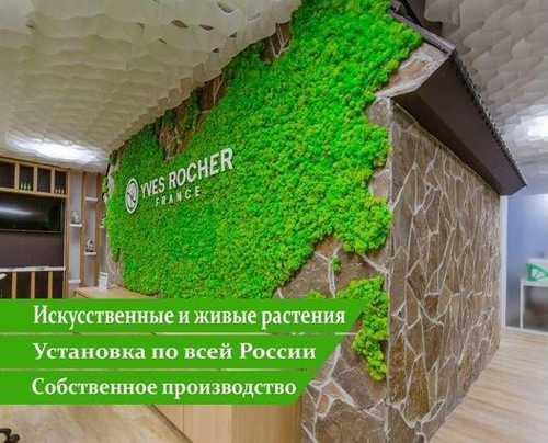 Cтабилизированный мох – фитостены