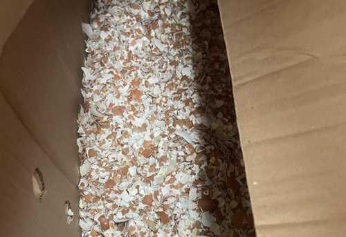 Яичная скорлупа