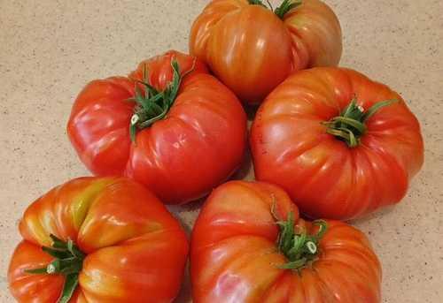 Набор семян томатов 4