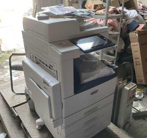 Мфу формата A3, SRA3 - Xerox AltaLink C8035