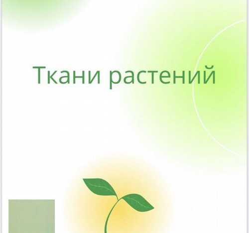 Конспекты по биологии