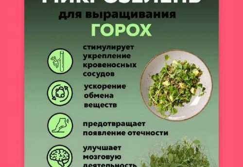 Зеленый горошек