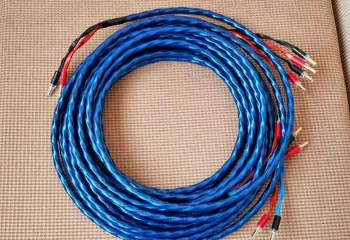 Wireworld oasis 8 Speaker Cable