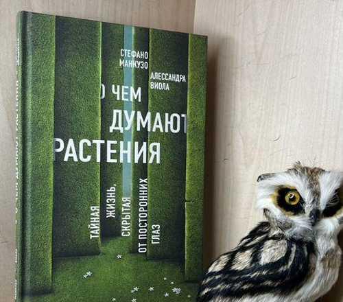 Манкузо С, Виола А. О чем думают растения. Тайная