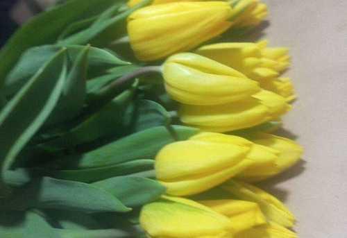 Тюльпаны к 8 марта, доставка