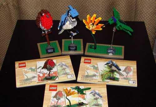 Lego (Лего) Ideas Birds 21301