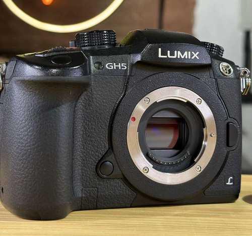 Panasonic Lumix DC-GH5 Body (Б/У) ин 06240726