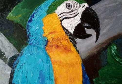 Картина маслом "Попугай ара", 41х34 см