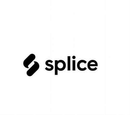 Подписка и плагины Splice