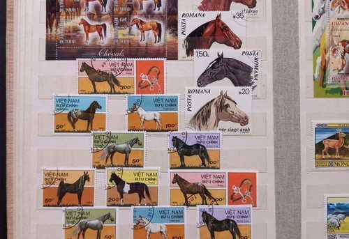 Почтовые марки лошади, кони