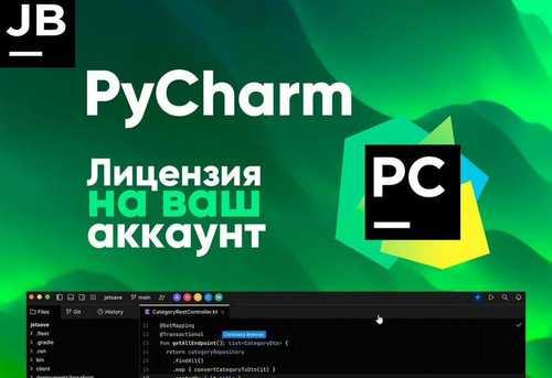 Лицензия JetBrains PyCharm Рrоfеssiоnаl + AI