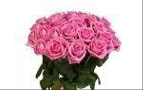 Букет из 29 розовых роз, цветы доставка
