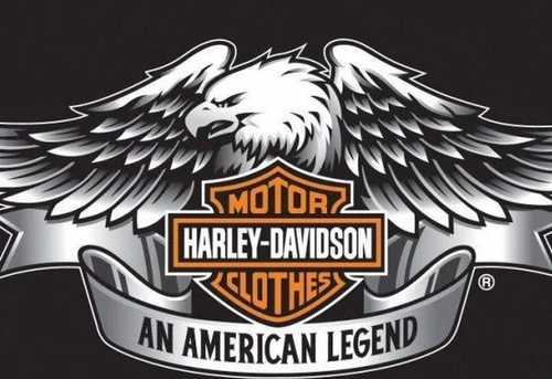 Руководство по Эксплуатации Harley-Davidson