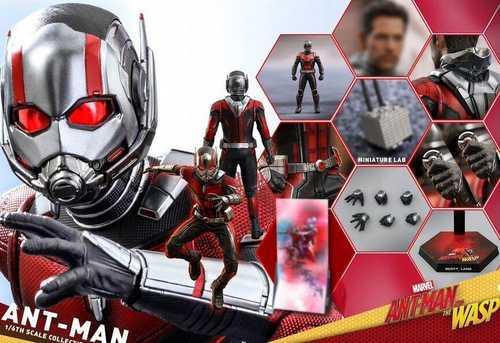 Hot toys ANT MAN AND THE wasp человек муравей оса