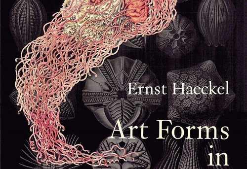 Art Forms in Nature by Ernst Haeckel