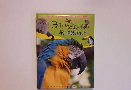 Детская энциклопедия "Птицы и обезьяны"