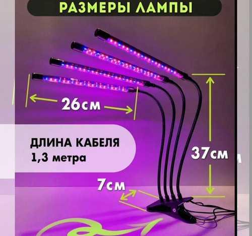 Фитолампа для растений