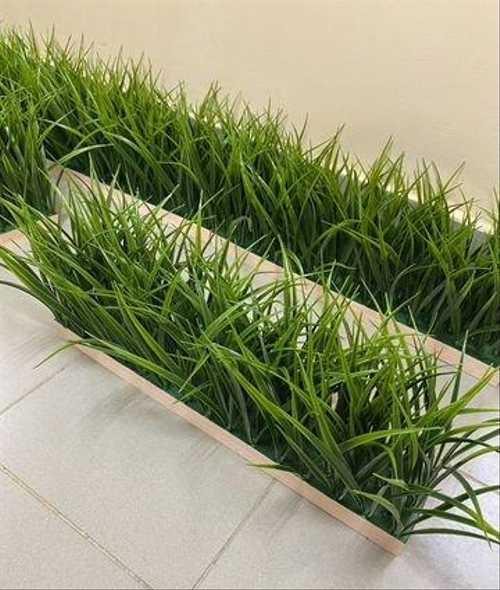 Искусственная трава Премиум в блоках ящиках