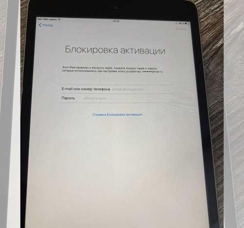 iPad mini 1