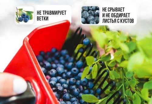 Комбайн для сбора ягод