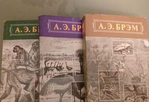Брем. Жизнь животных. В 3 томах. 1992г