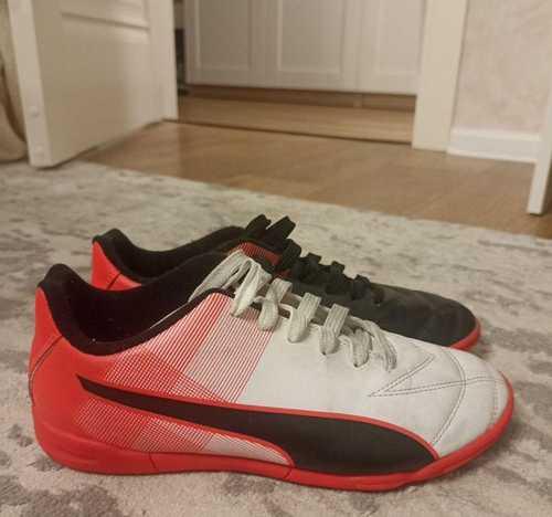 Футзалки Puma оригинал 37 размер-23,5 см