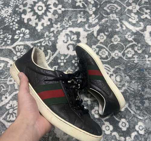 Кеды Gucci ace оригинал