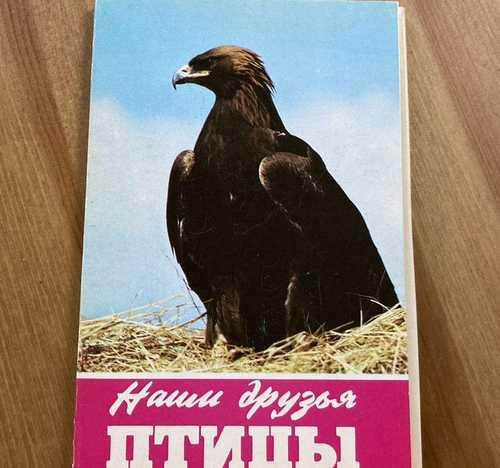 Наши друзья птицы