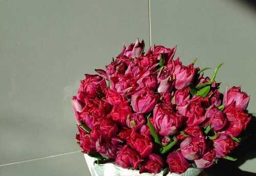 Пионовидные Тюльпаны на 8 Марта