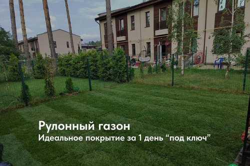 Рулонный газон