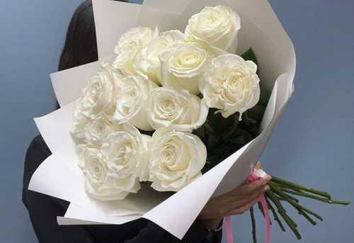Розы белые пион Плая бланка