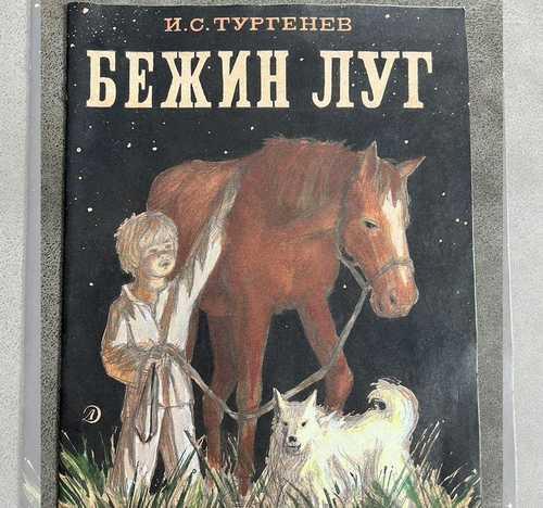 Бежин луг, Тургенев, художник Пахомов