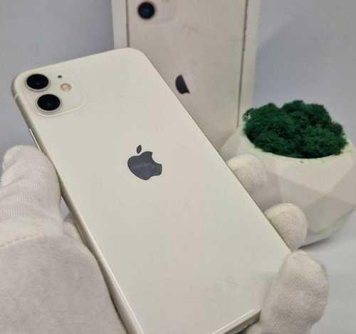 iPhone 11, 256 ГБ