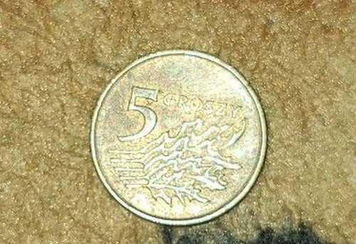 Монета 5 groszy