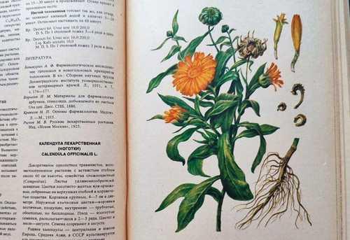 Ботанические книги лекарственные растения, грибы