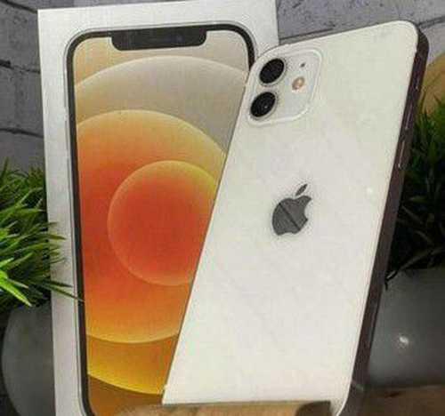 iPhone 12, 256 ГБ