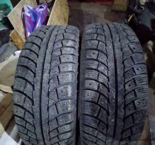 Gislaved Euro Frost 5 195/65 R15