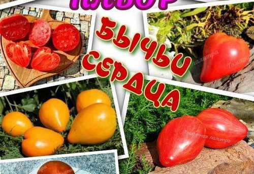 Коллекционные семена томатов "Бычьи сердца"