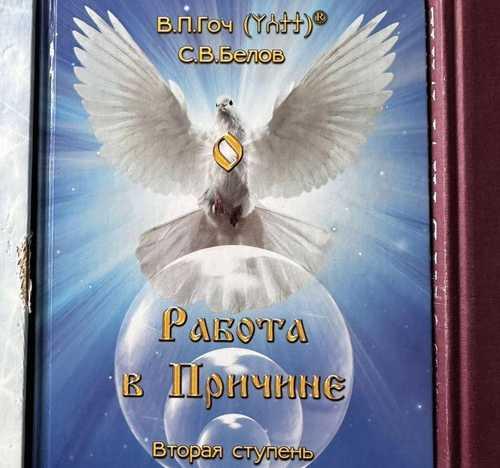 Работа в Причине, 2 ступень. Гоч В. П